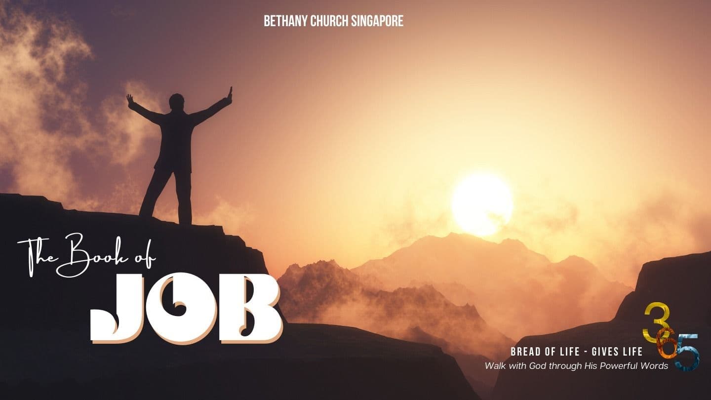Job 25 | NLT Bible | YouVersion