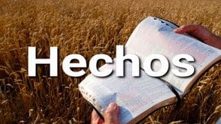 Hechos 4:12 Y en ningún otro hay salvación; porque no hay otro nombre ...