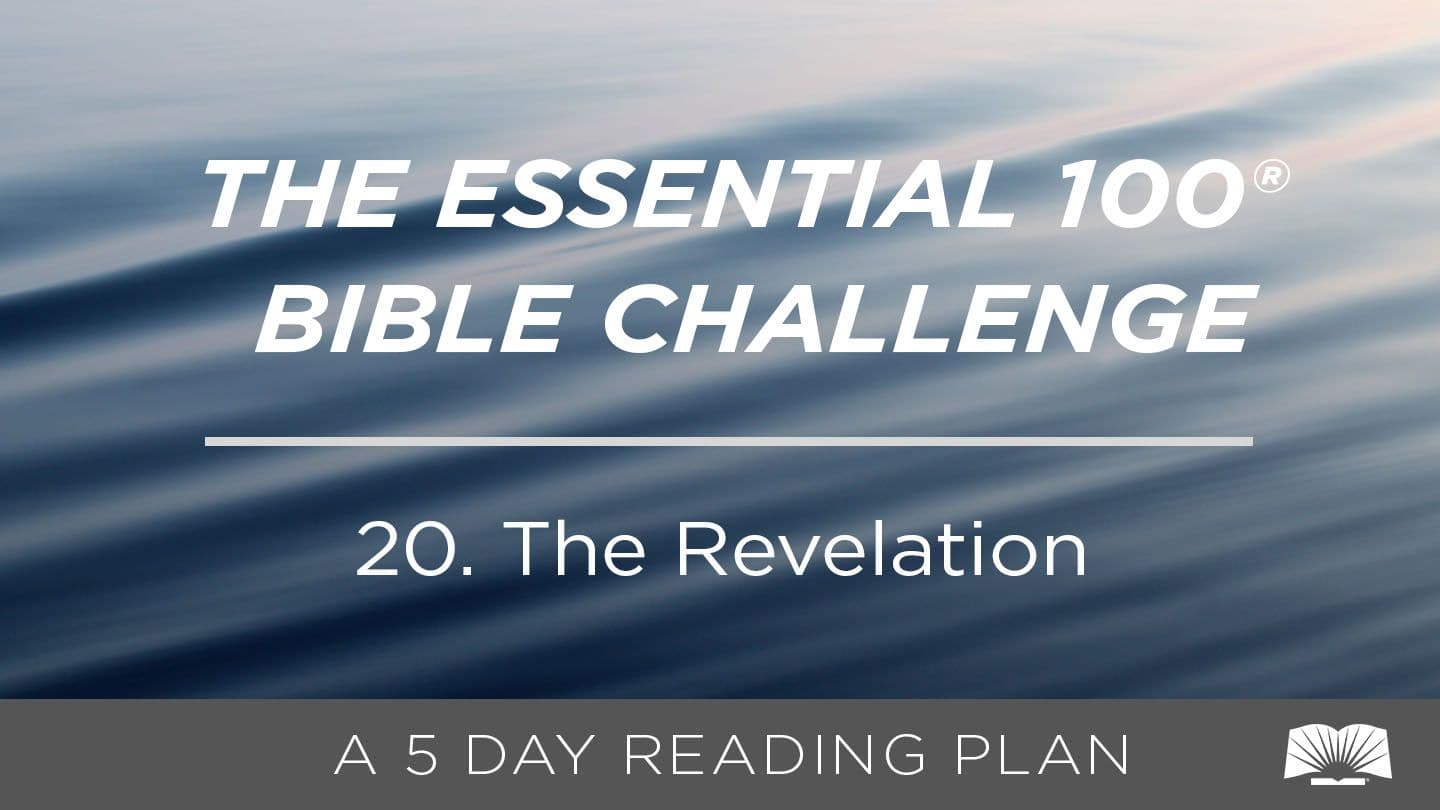 Revelation 3:9 (KJV) - Behold, I will make them of the syn | YouVersion