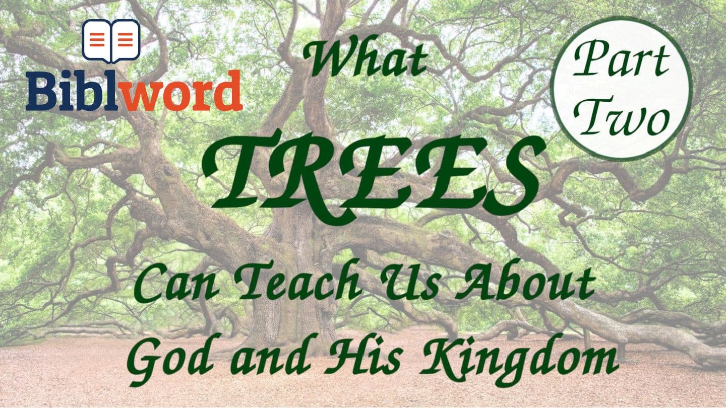 Isaiah 56:2 Blessed is the man that doeth this, and the son of man that ...