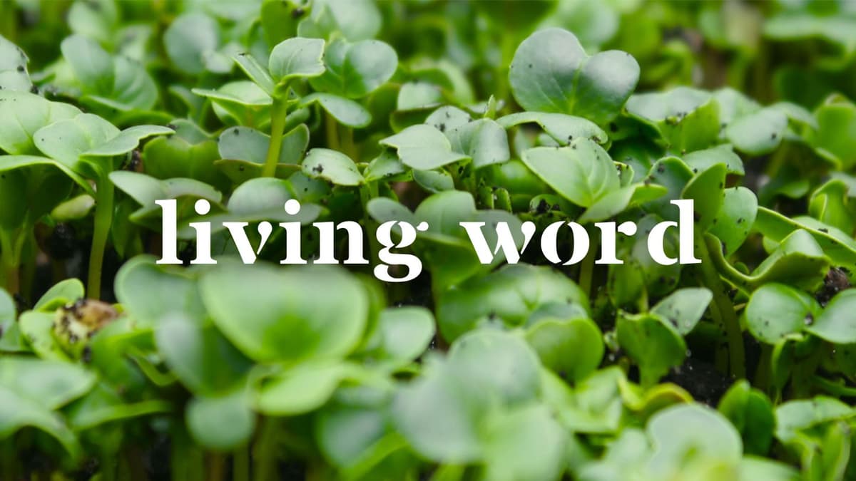 Jeremiah 23:29 “Is not my word like fire,” declares the LORD, “and like ...