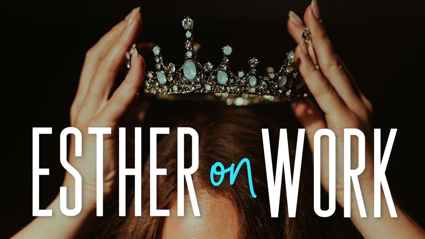 Esther 8:9 (NIV) - At once the royal secretaries were | YouVersion