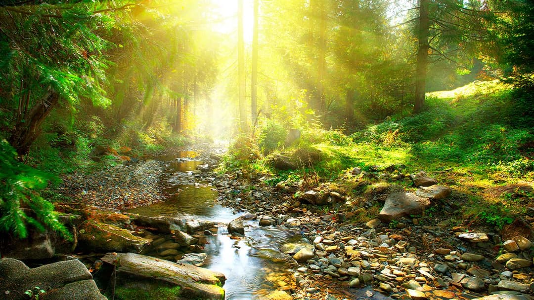 365 Daily Devotional Plan