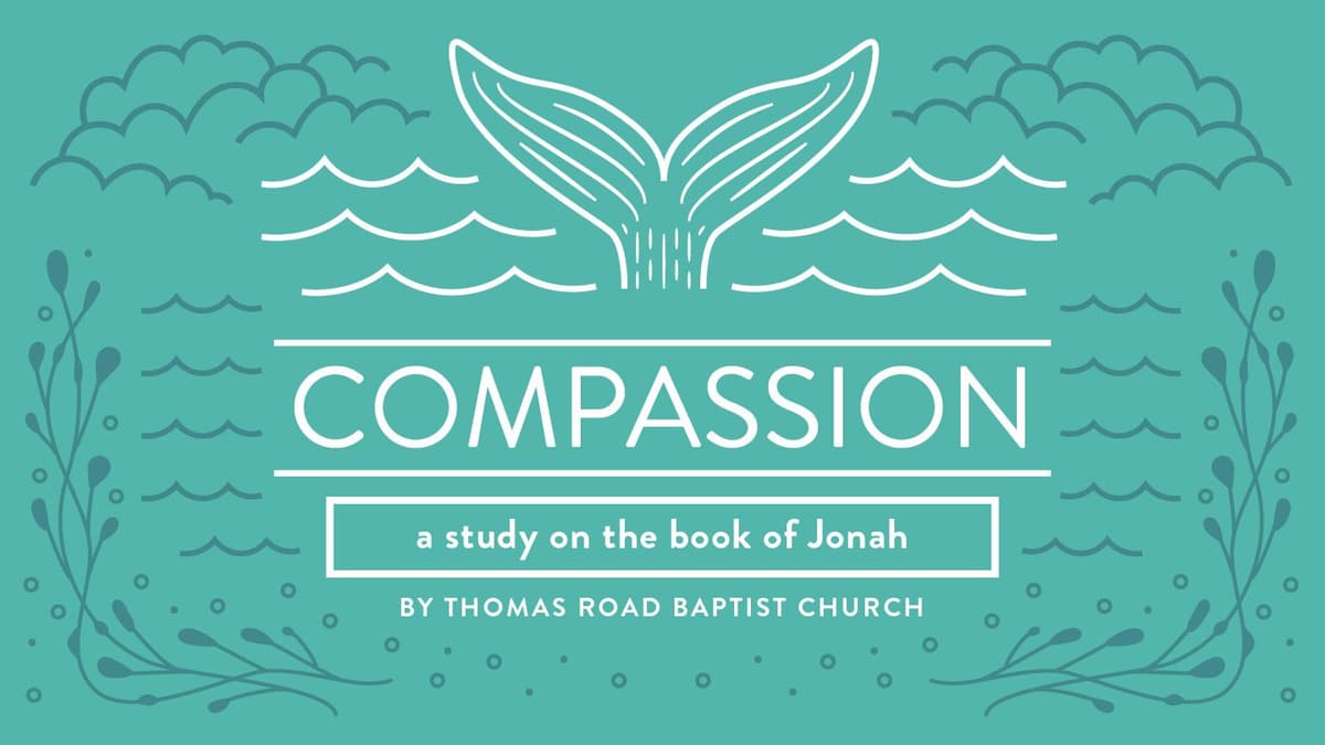 Jonah 4:1-11 (NIV) - But to Jonah this seemed very wrong | YouVersion