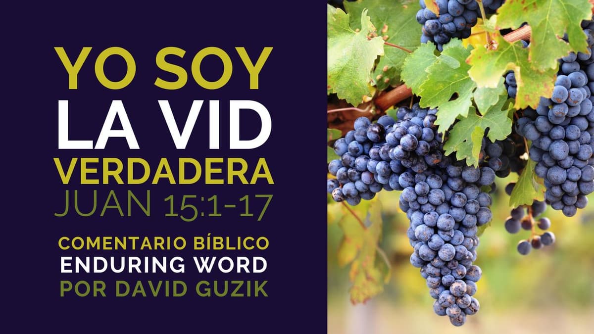 Yo Soy La Vid Verdadera: Comentario Bíblico Sobre Juan 15:1-17 - Día 1 ...
