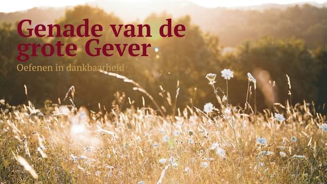 Lees de Bijbel online. Een gratis Bijbel voor op je telefoon, tablet ...