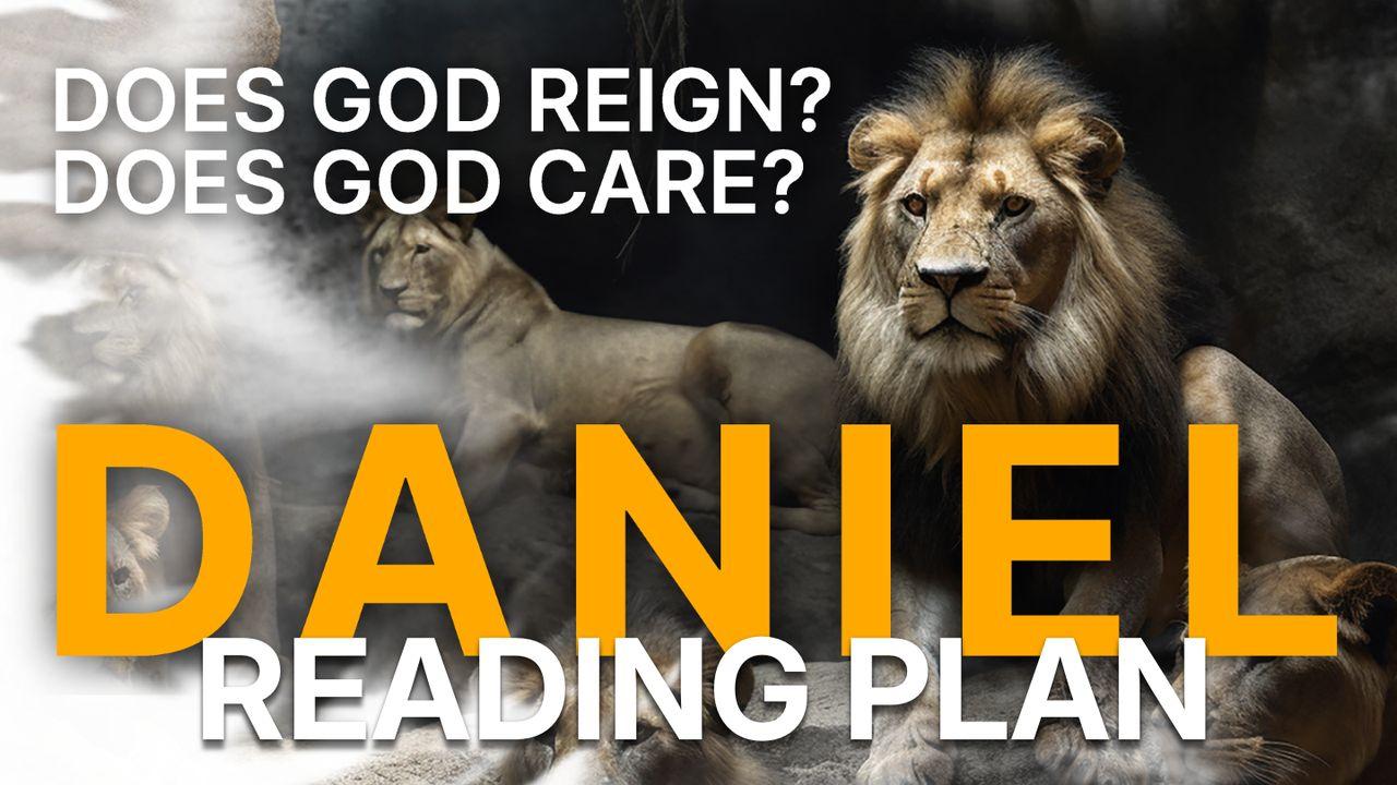 Daniel: Does God Reign? Does God Care? - Reading Plan