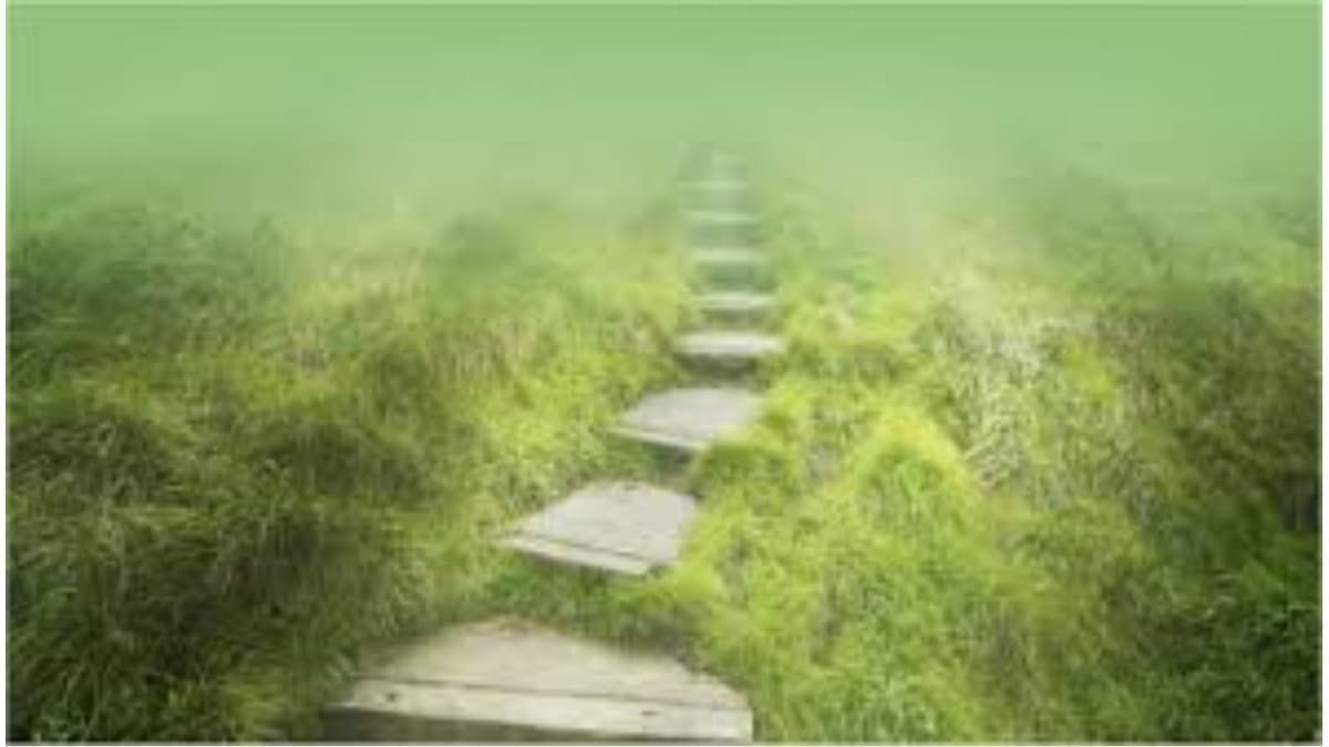 Deuteronomy 28:43 The stranger that is within thee shall get up above ...