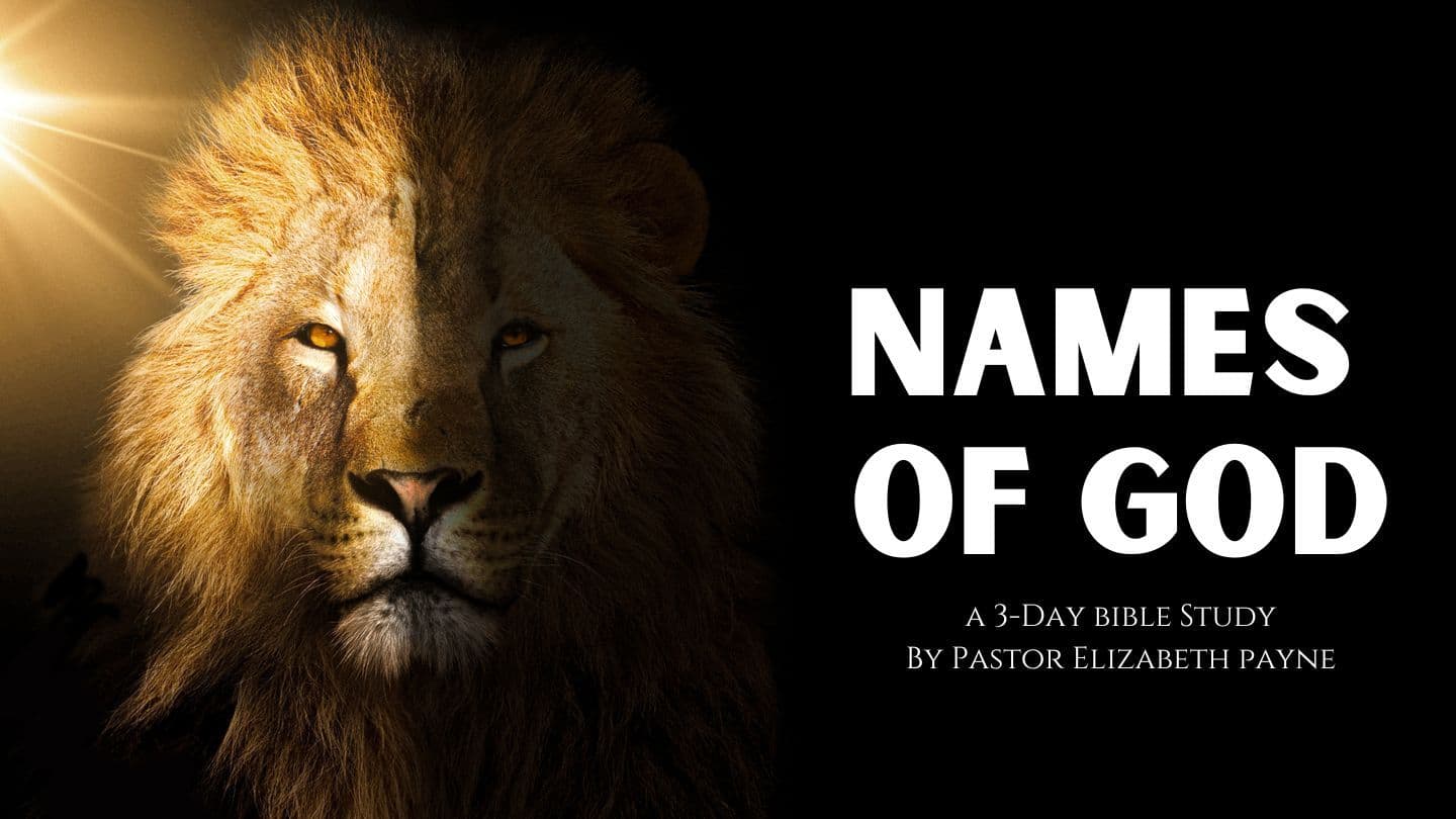 Genesis 22:14 So Abraham called that place The LORD Will Provide. And ...