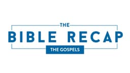 The Bible Recap | YouVersion