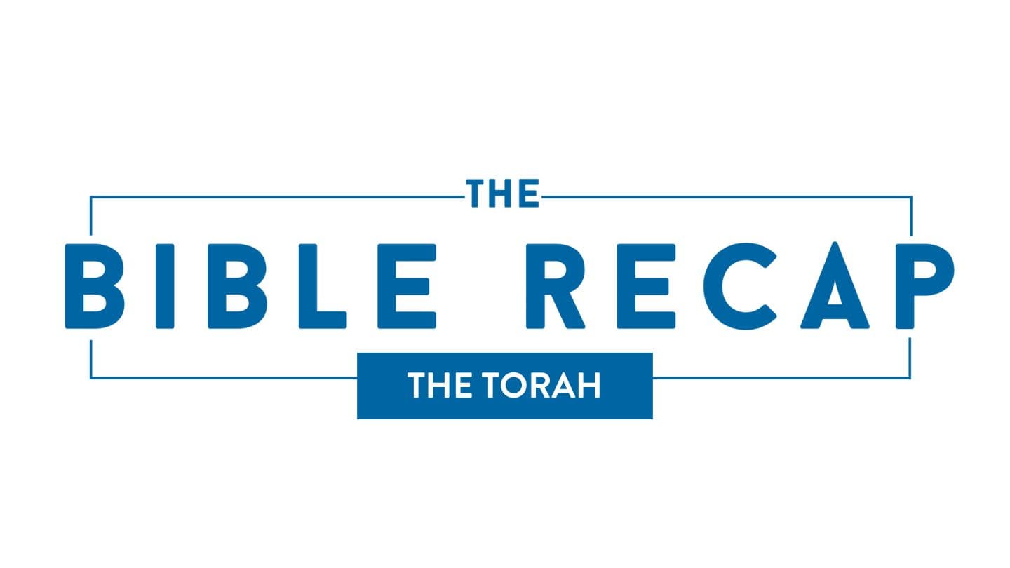 The Bible Recap | YouVersion