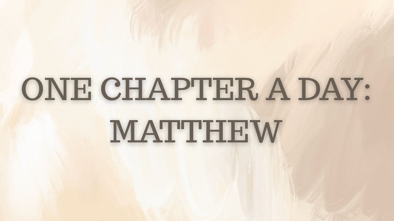 One Chapter a Day: Matthew - Day 1 of 29
