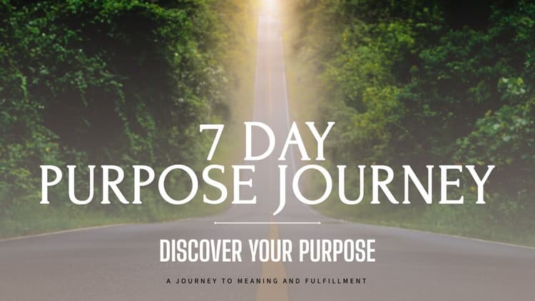 7 DAY PURPOSE JOURNEY