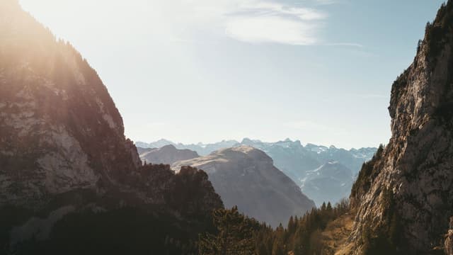 Luke 22:61-62 (NIV) - The Lord turned and looked straight | YouVersion